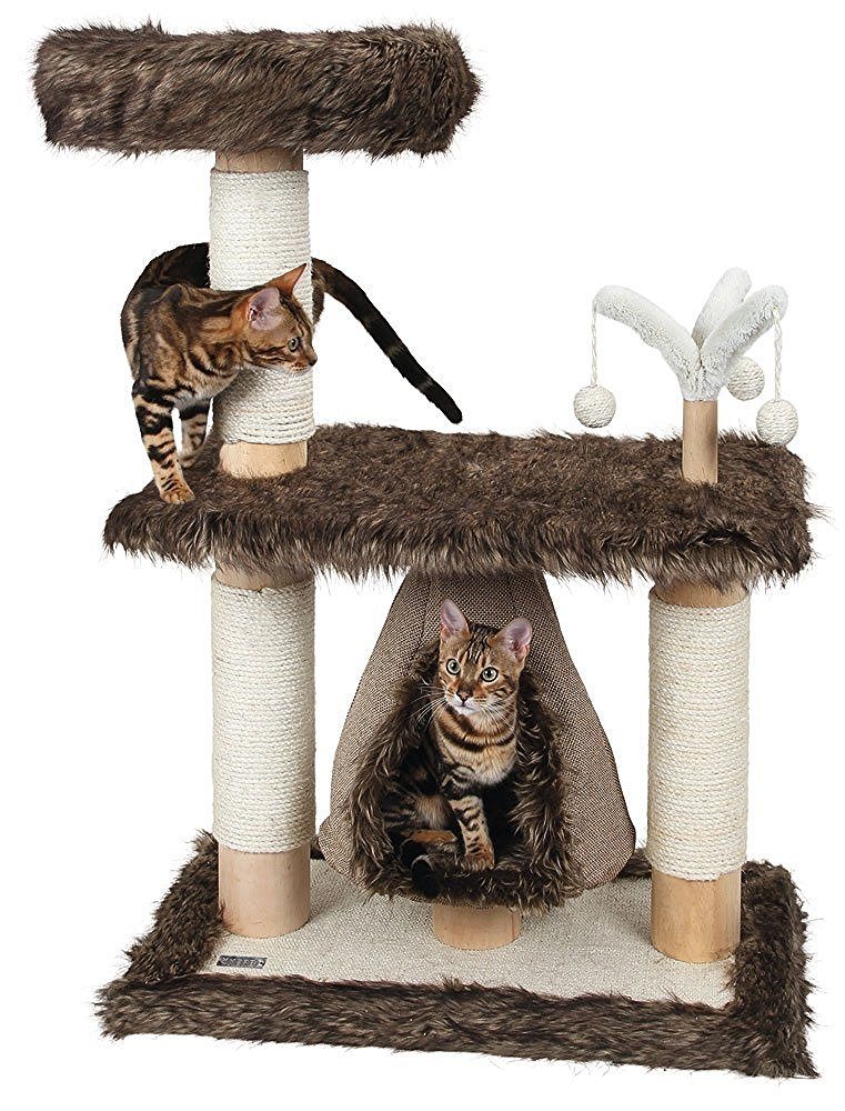 Zamunda Jade | Lækkert kattetræ med "telt", kradsesøjler og bolde til leg